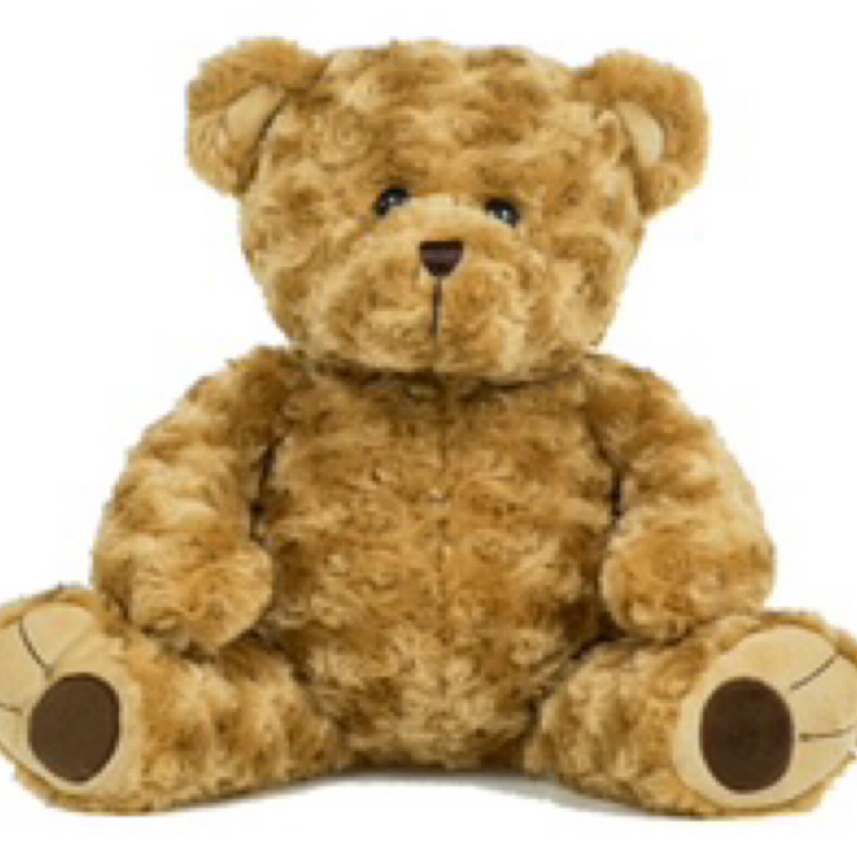 16 Archie The Twist Bear Eco Moments 4D 5D Baby Ultrasound